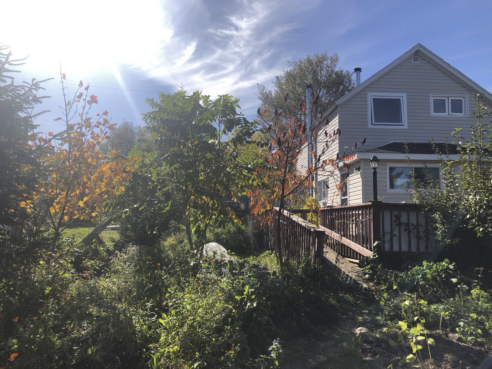 The Homestead – Wild Town